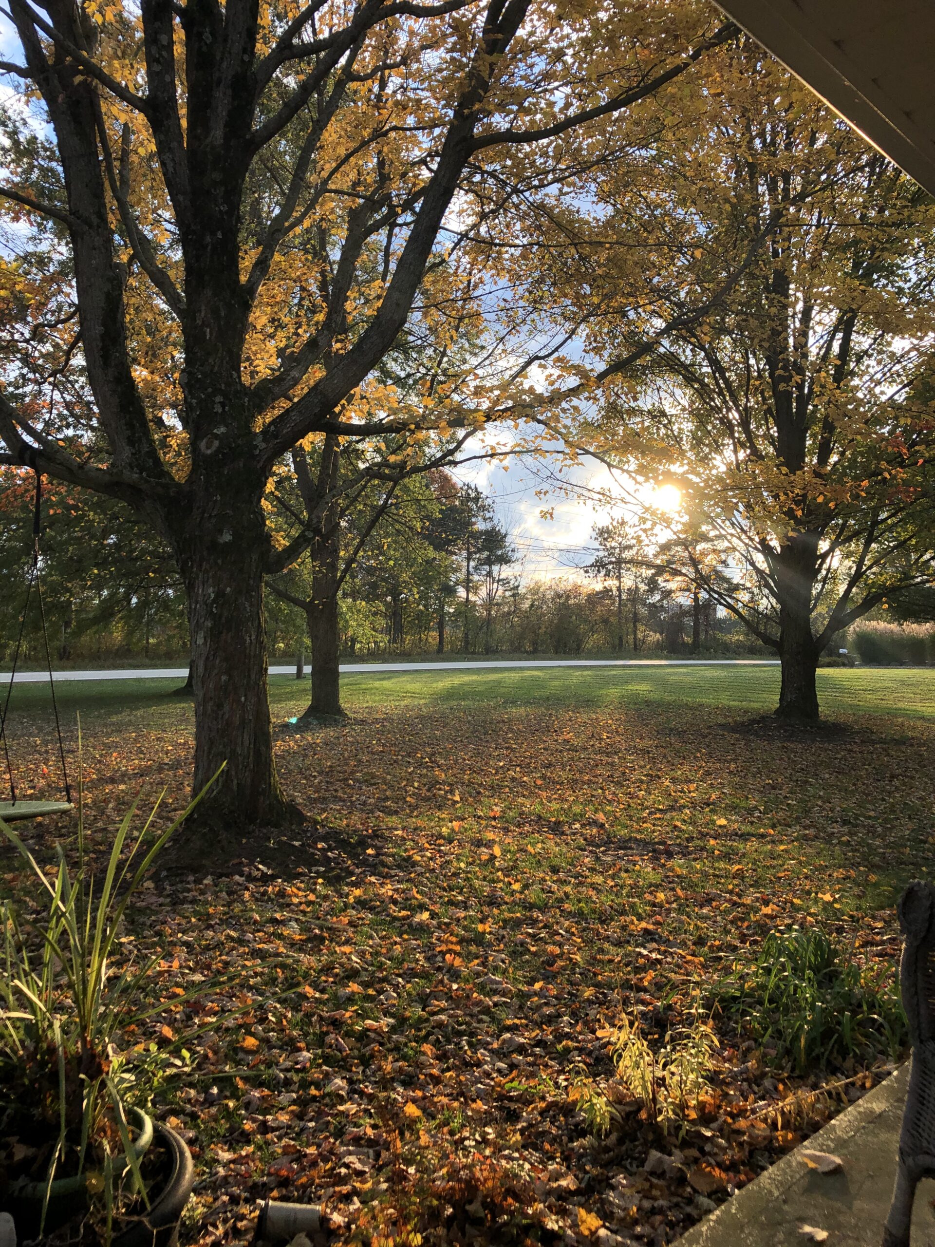 Just a few of my favorite FALL things! - Lisa's Two Cents